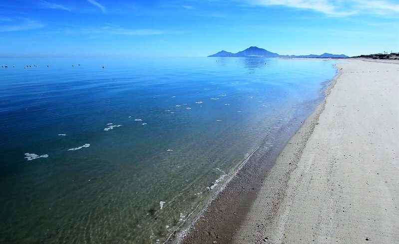32 Capable Facts About The Gulf Of California Facts 32-capable-facts-about-the-gulf-of-california-facts