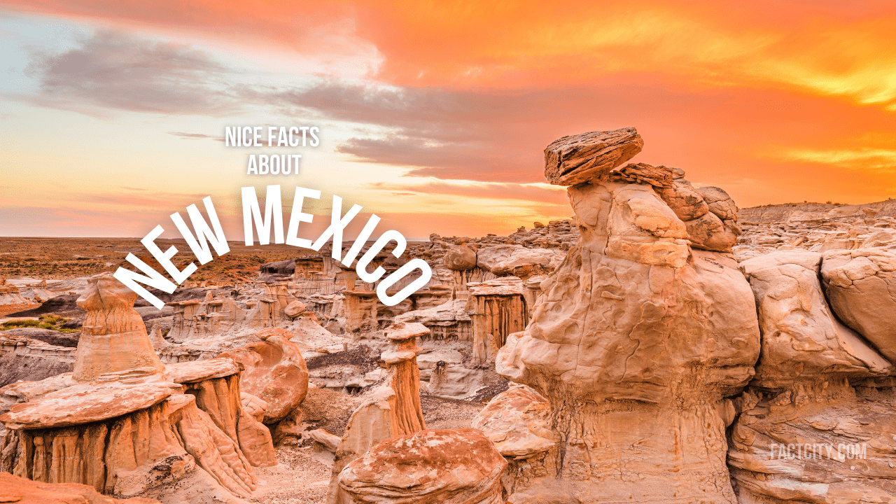 Geography Facts About New Mexico at Nichelle Hock blog